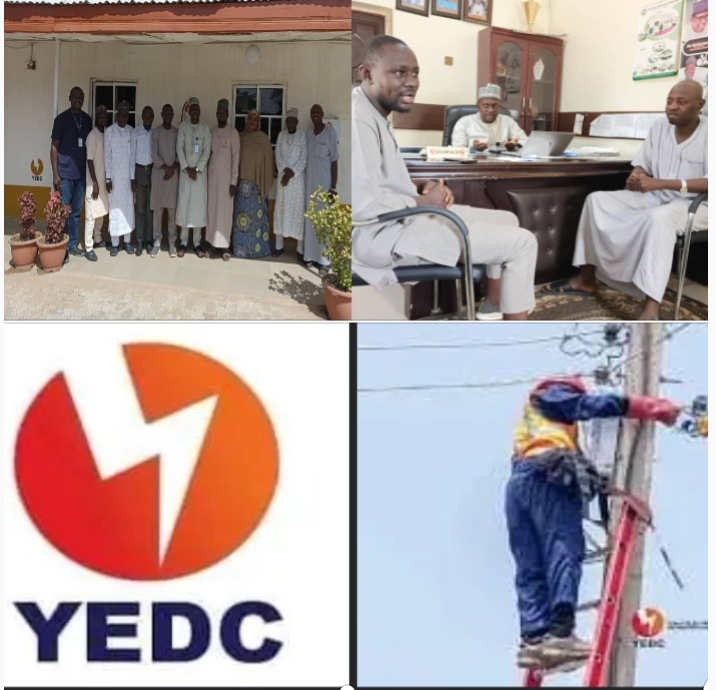 Residents Demand Accountability as YEDC Committee Set to visit Emir of Damaturu Amidst Power ...